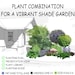 Pre-made Landscape Design Shade Garden Outdoor Space Idea With Low-maintenance Plants for Easy ...