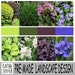 Pre-made Landscape Design Shade Garden Outdoor Space Idea With Low ...