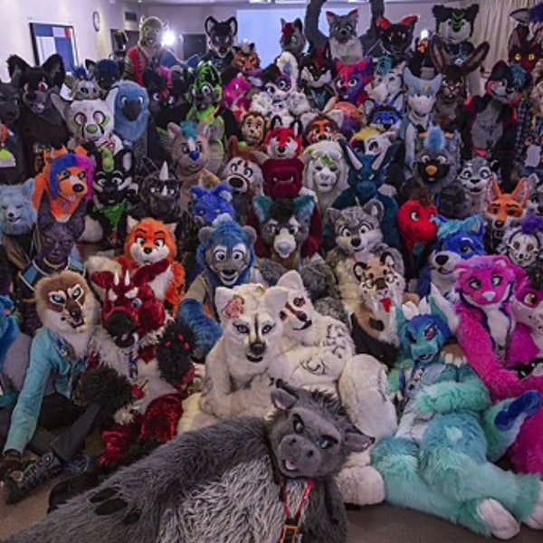 Furry Mystery Box - Etsy