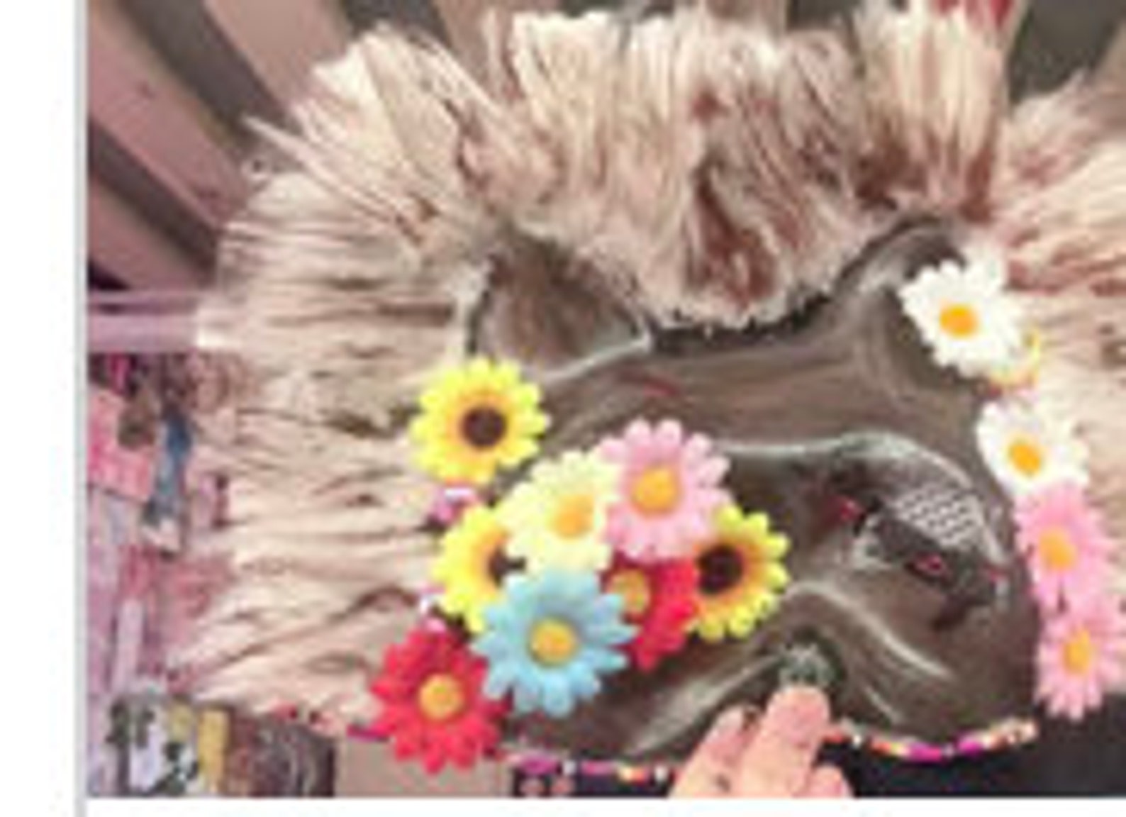 Custom Therian Mask With Muzzle/or Without READ THE DESCRIPTION - Etsy ...