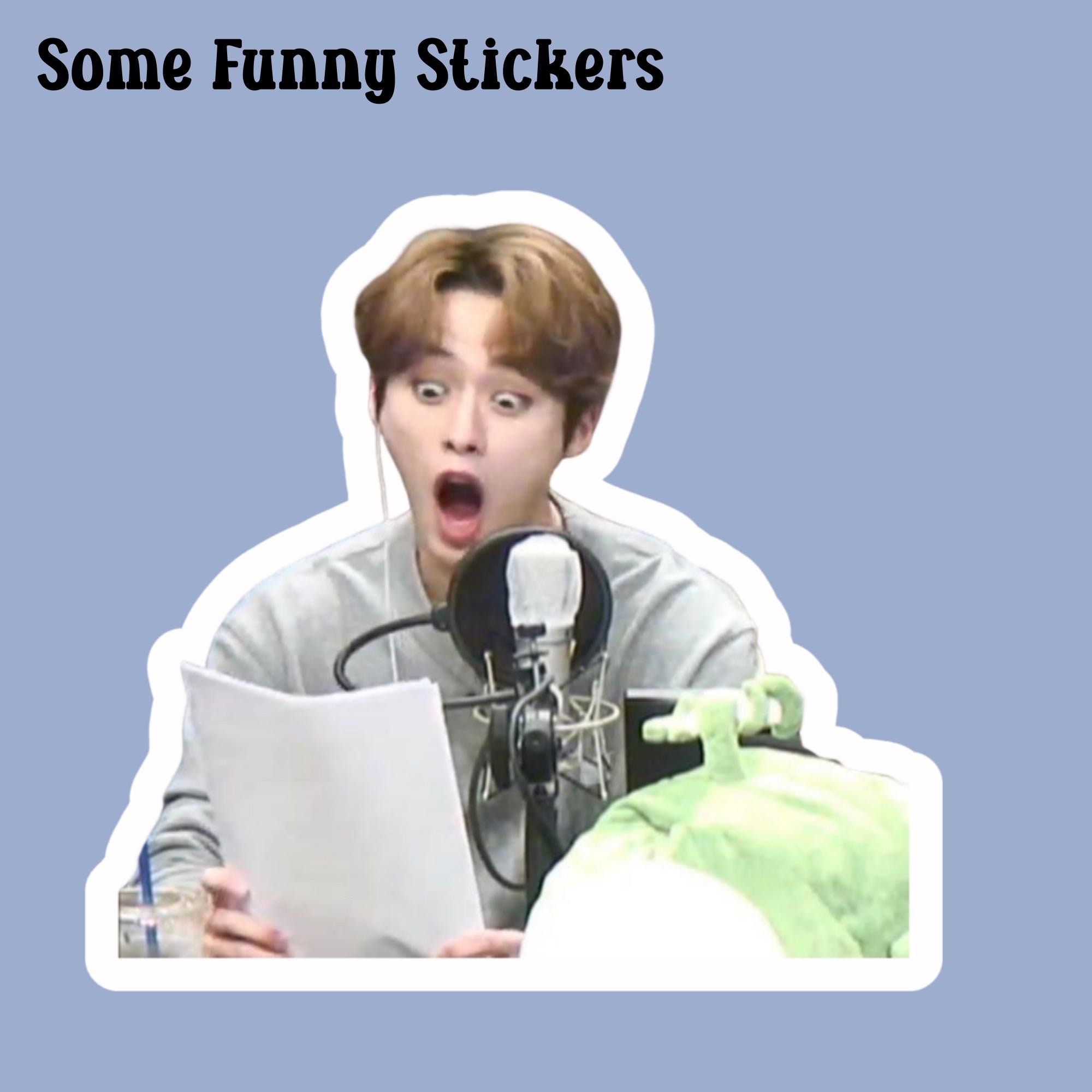 Stray Kids Funny Stickers Stray Kids Memes Kpop SKZ Stickers Stray Kids ...