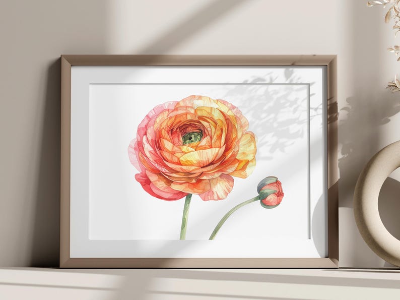Peach Ranunculus Printable Wall Art, Watercolor Flower Print ...
