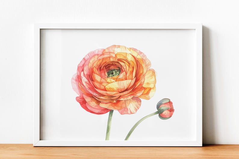 Peach Ranunculus Printable Wall Art, Watercolor Flower Print ...
