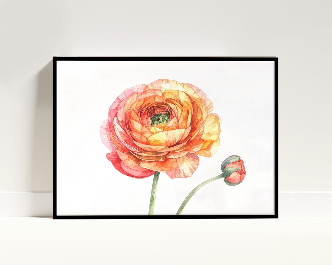 Peach Ranunculus Printable Wall Art, Watercolor Flower Print ...