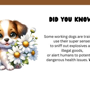 20 Cute Animals Lunch Box Notes for Kids, Lunchbox Notes Printable ...