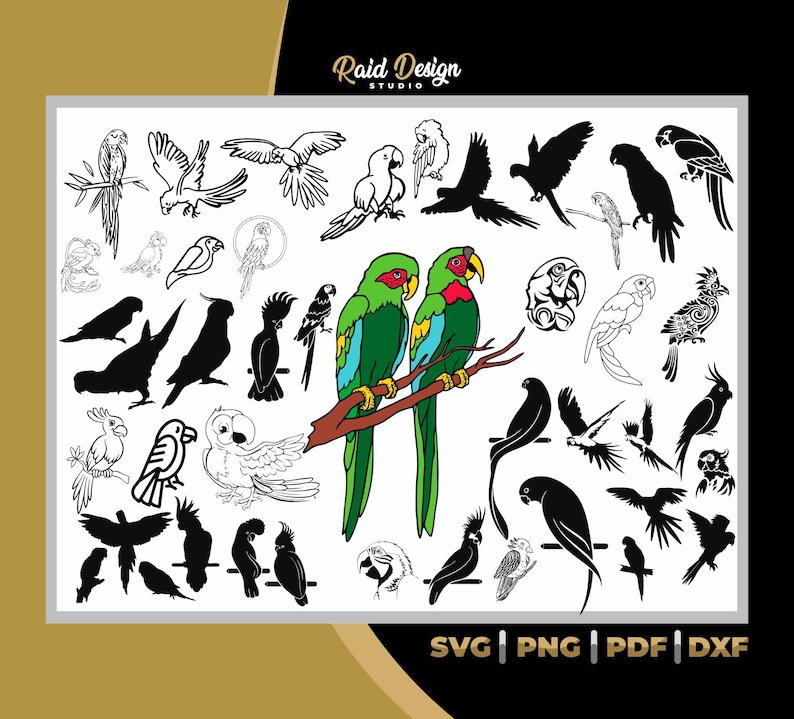 Parrot Silhouette Svg, Png, Pdf, Dxf - Etsy