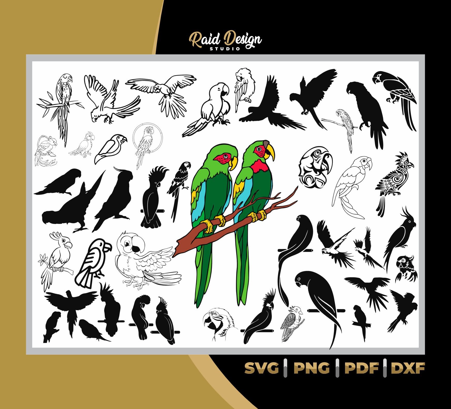 Parrot Silhouette Svg, Png, Pdf, Dxf - Etsy