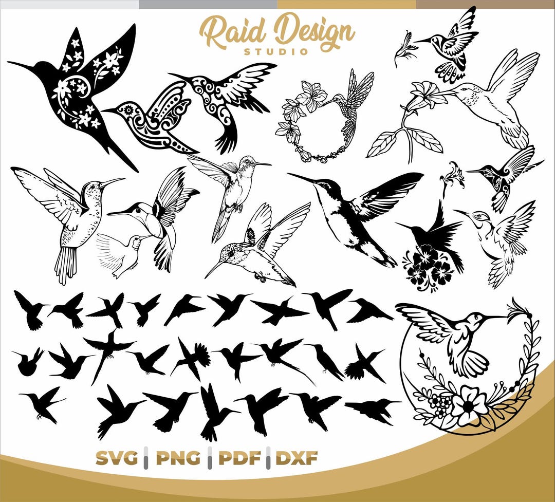 Hummingbird Bundle Silhouette, Hummingbird SVG, Hummingbird FLORAL ...