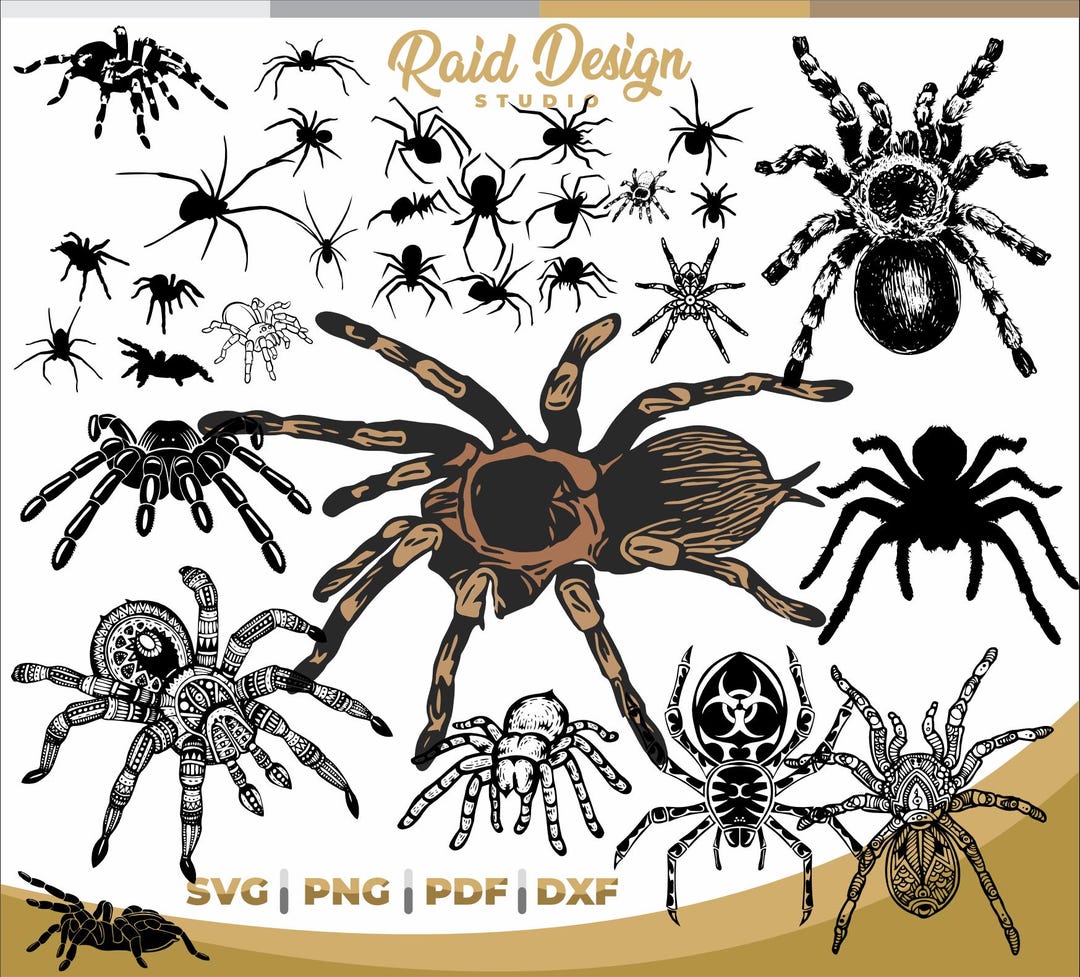 Spider Collection Svg Bundle, SPIDER SVG, Spider Web Bundle Svg, Spider ...
