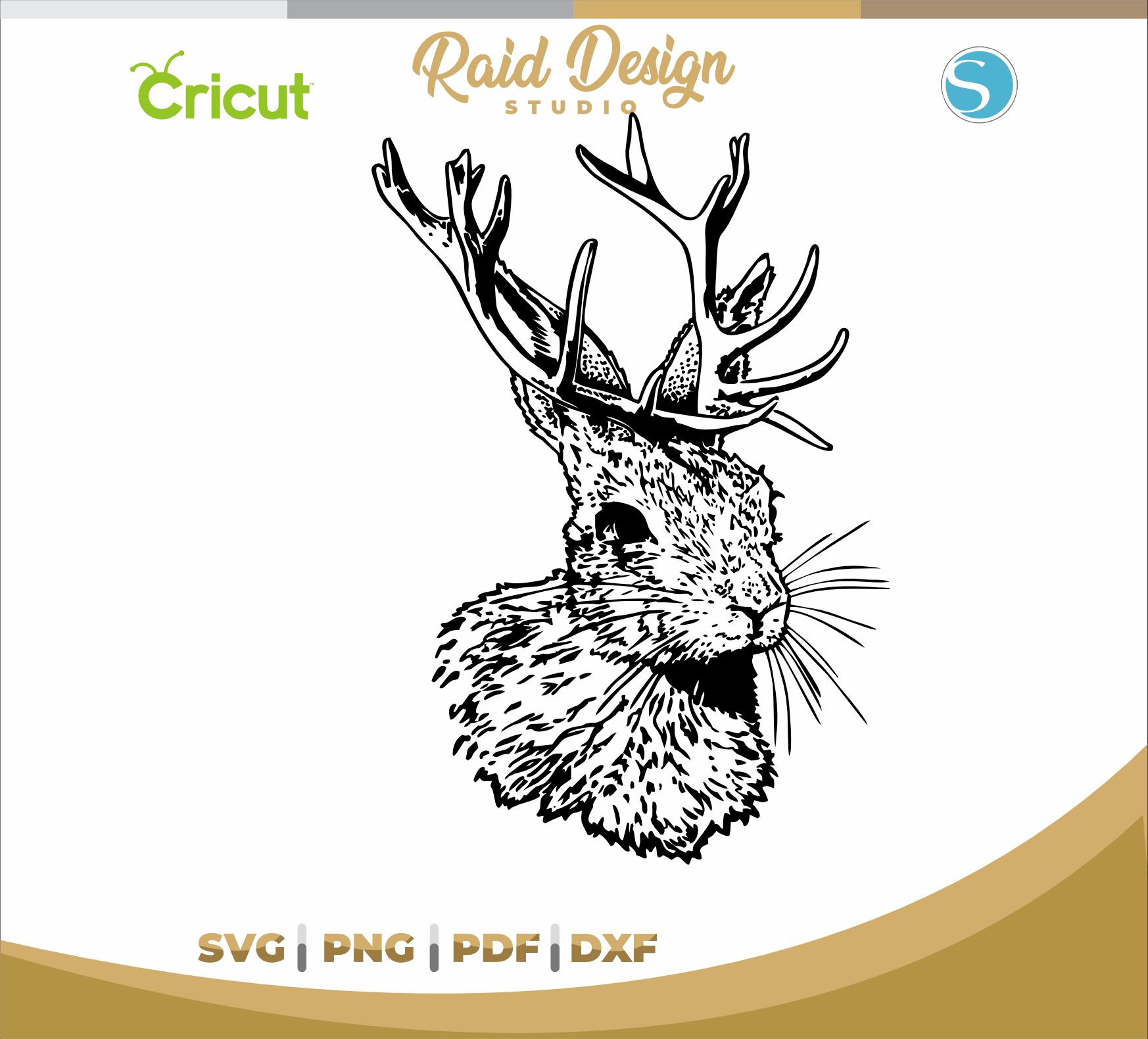 Jackalope Designs, Face of Jackalope, Png Cryptids Creatures, Jackalope ...