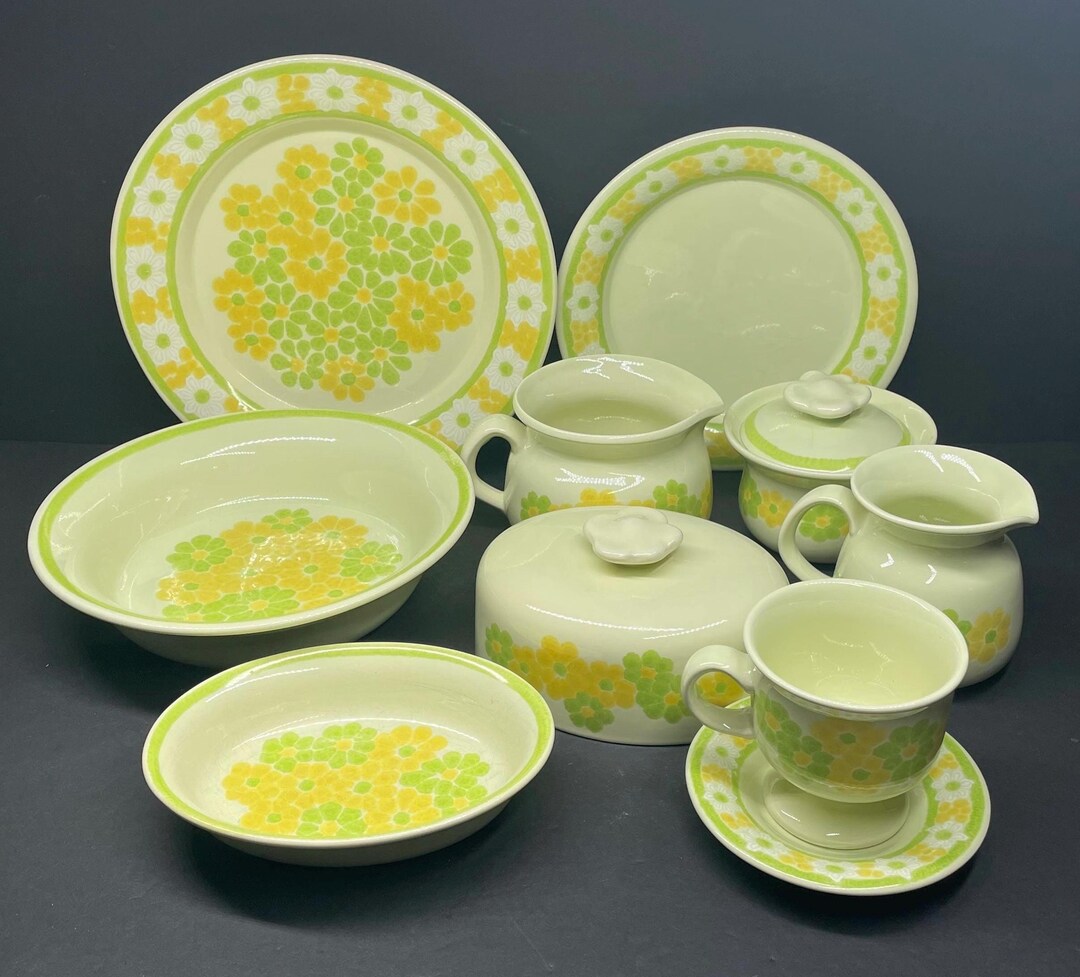 Franciscian Picnic Dinnerware Set - Multiple Place Settings Available ...
