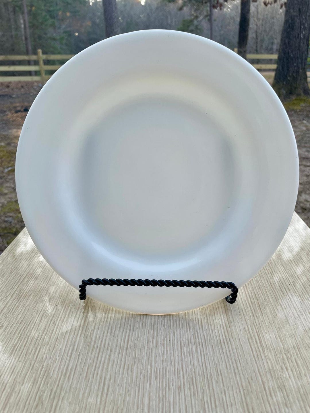 PYREX Opal 10" Dinner Plate - Hard to Find Classic Vintage PYREX - Etsy