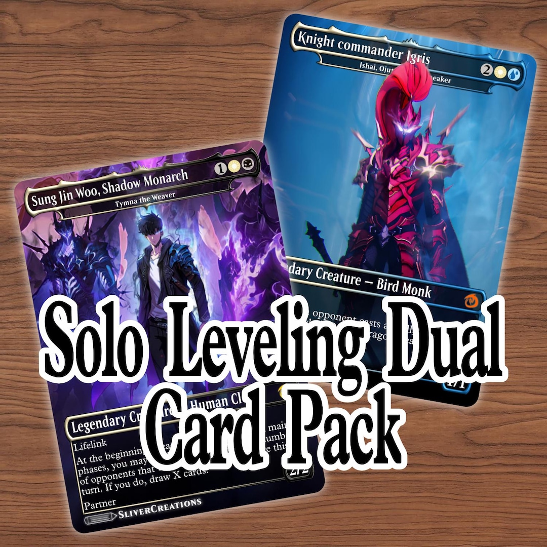 Solo Leveling Dual Commander Set | Sung Jin-woo and Knight Commander ...