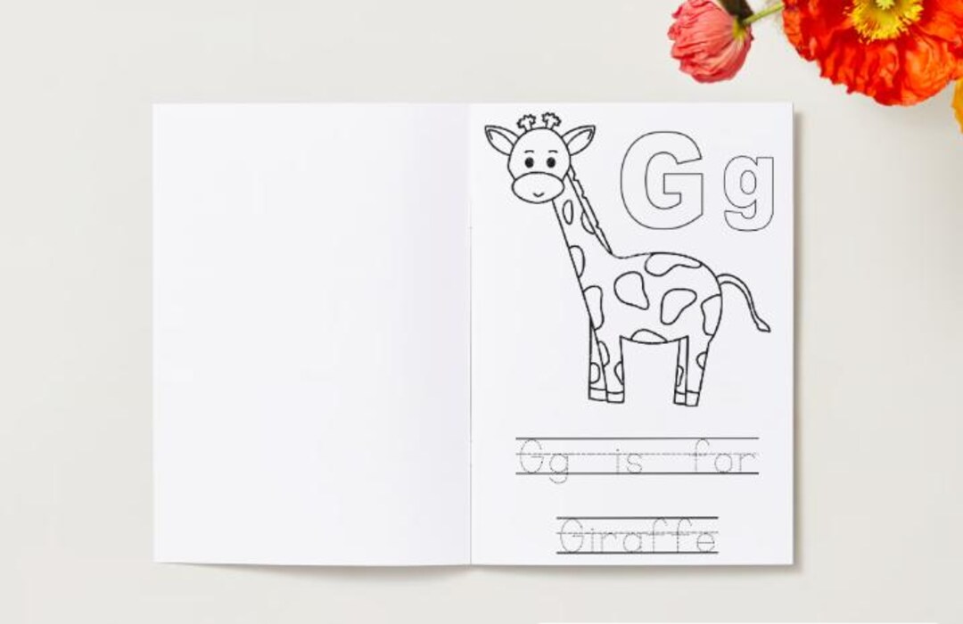 Alphabet Color Book - Animal Version - Etsy