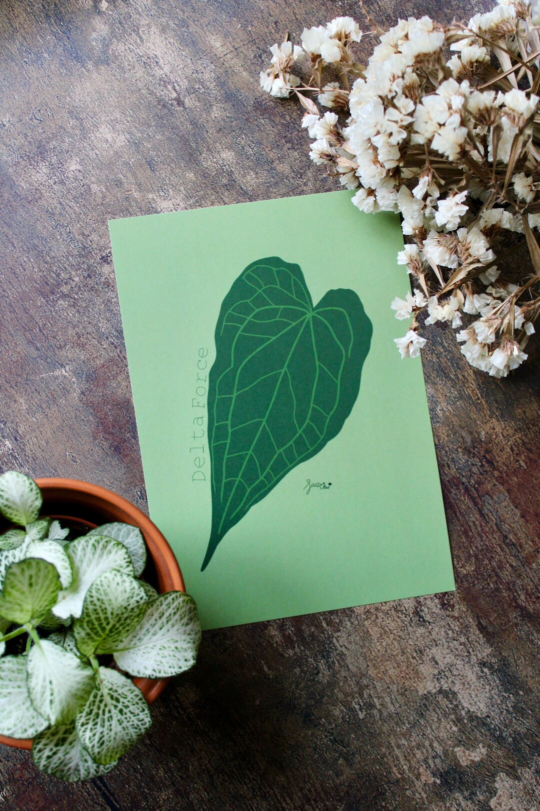 Anthurium Delta Force Leaf Illustration A5 Format - Etsy