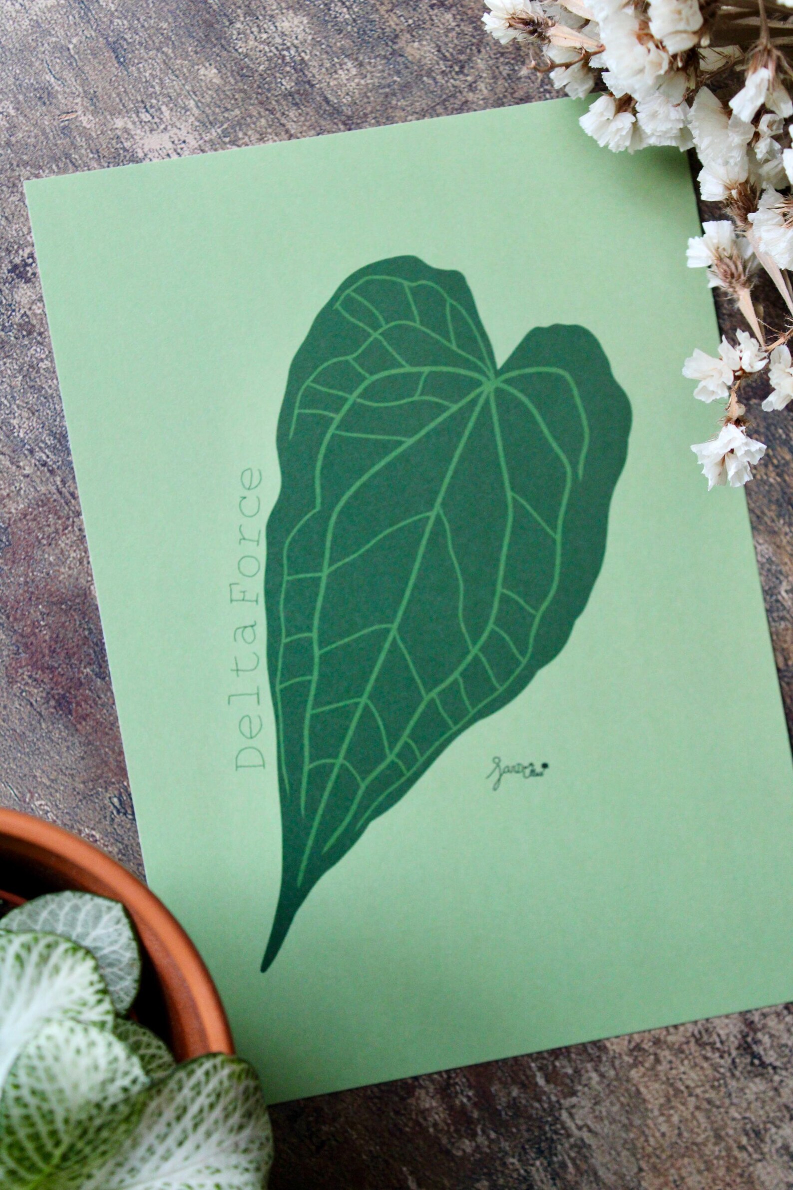 Anthurium Delta Force Leaf Illustration A5 Format - Etsy