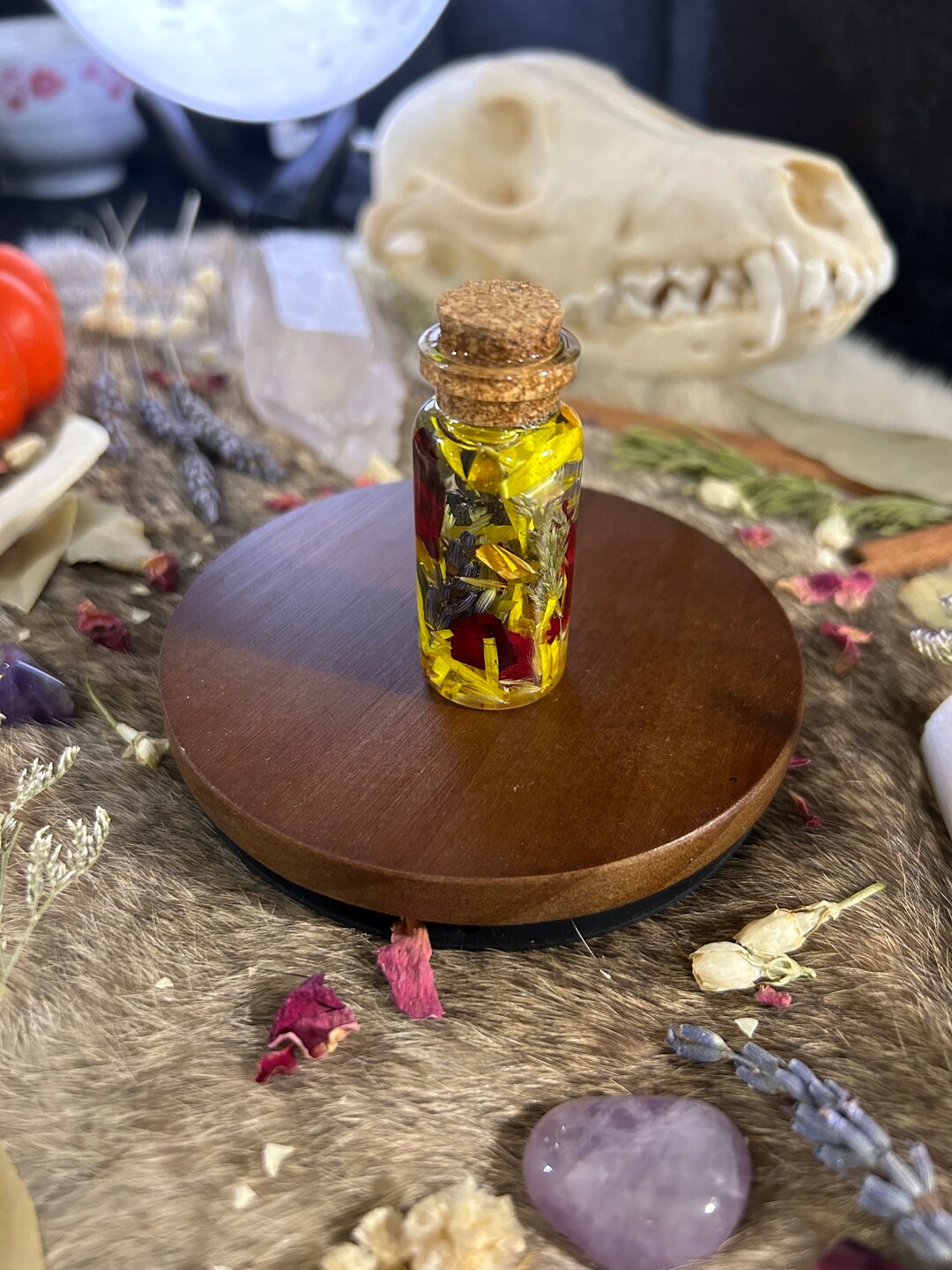 Mini Herbarium / Two Options - Etsy