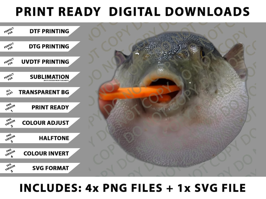 Pufferfish Eating a Carrot Meme Funny Blowfish Dank Memes Png Bundle ...