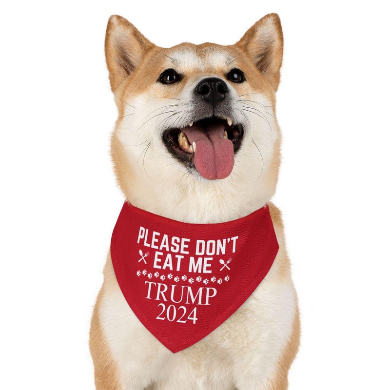 Trump Dog Costume - Etsy