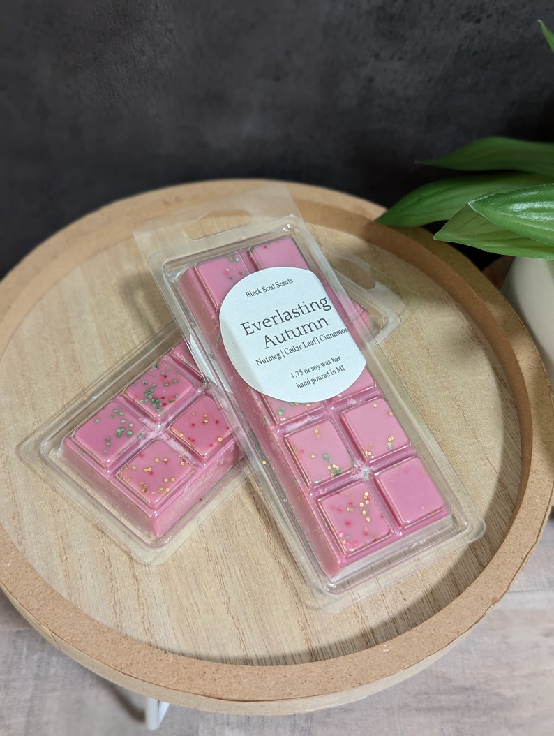 Everlasting Autumn Fall Spice Pumpkin Clove Nutmeg Cinnamon Scent Soy ...