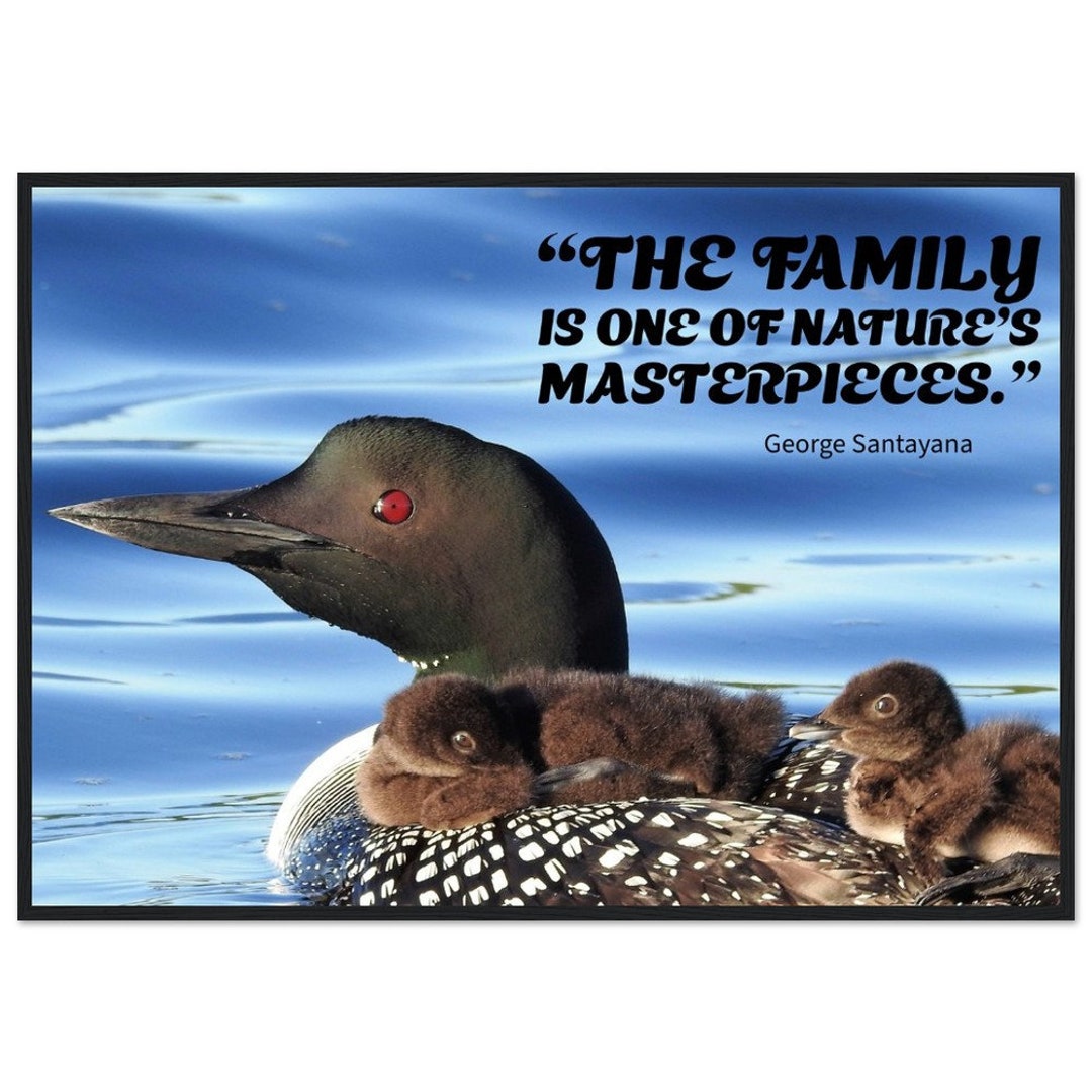 Premium Matte Paper Wooden Framed Poster,loon Family 70x100 Cm / 28x40 ...