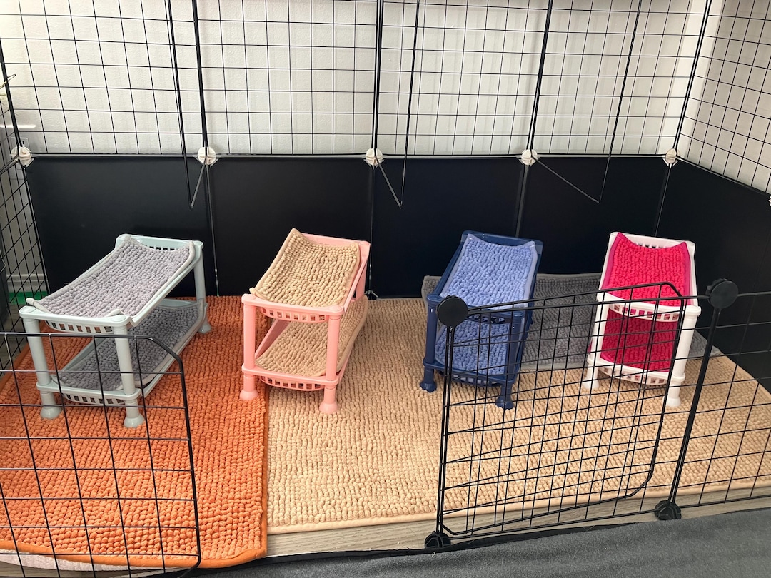 Guinea Pig Bunk Bed With 4 Cozy Fleeces Set - Etsy