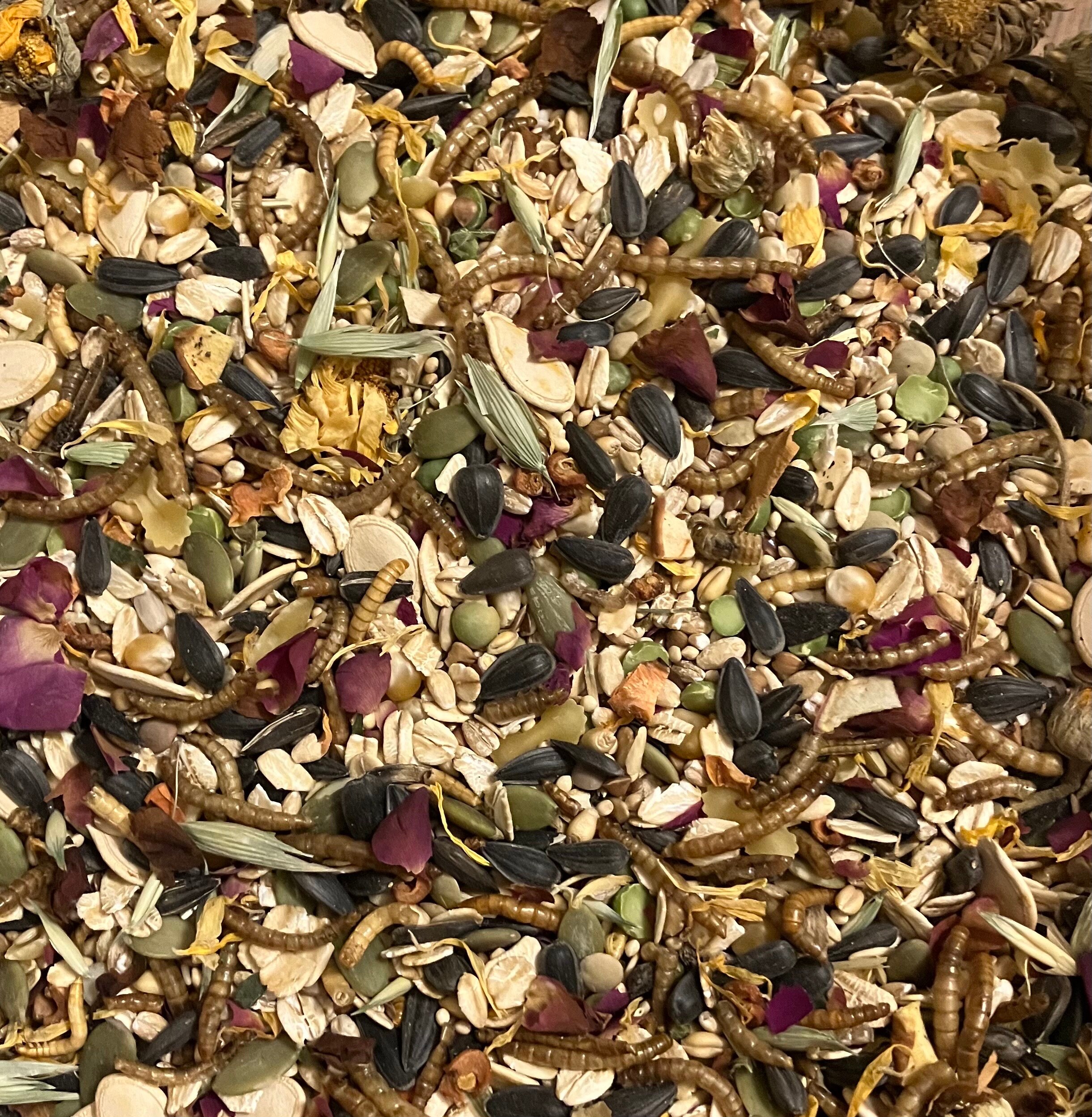 Gourmet Feast Syrian Hamster Seed Mix Great Treat Mix for Gerbils, Mice ...