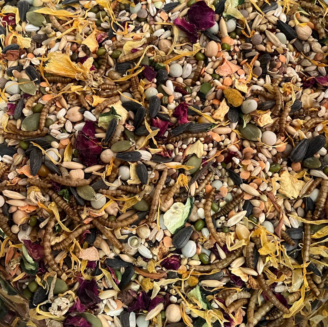 Gourmet Feast Dwarf Hamster Seed Mix - Etsy