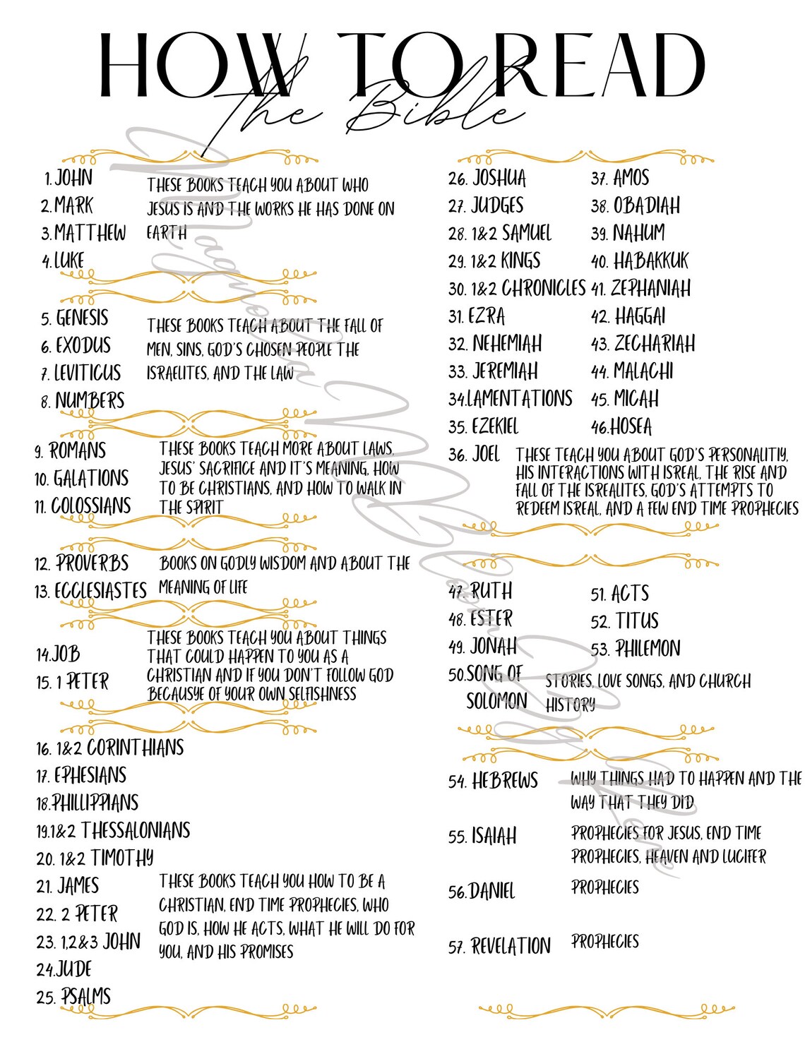 Bible Study, Books of the Bible, Digital Download, Beginner's Guide for ...
