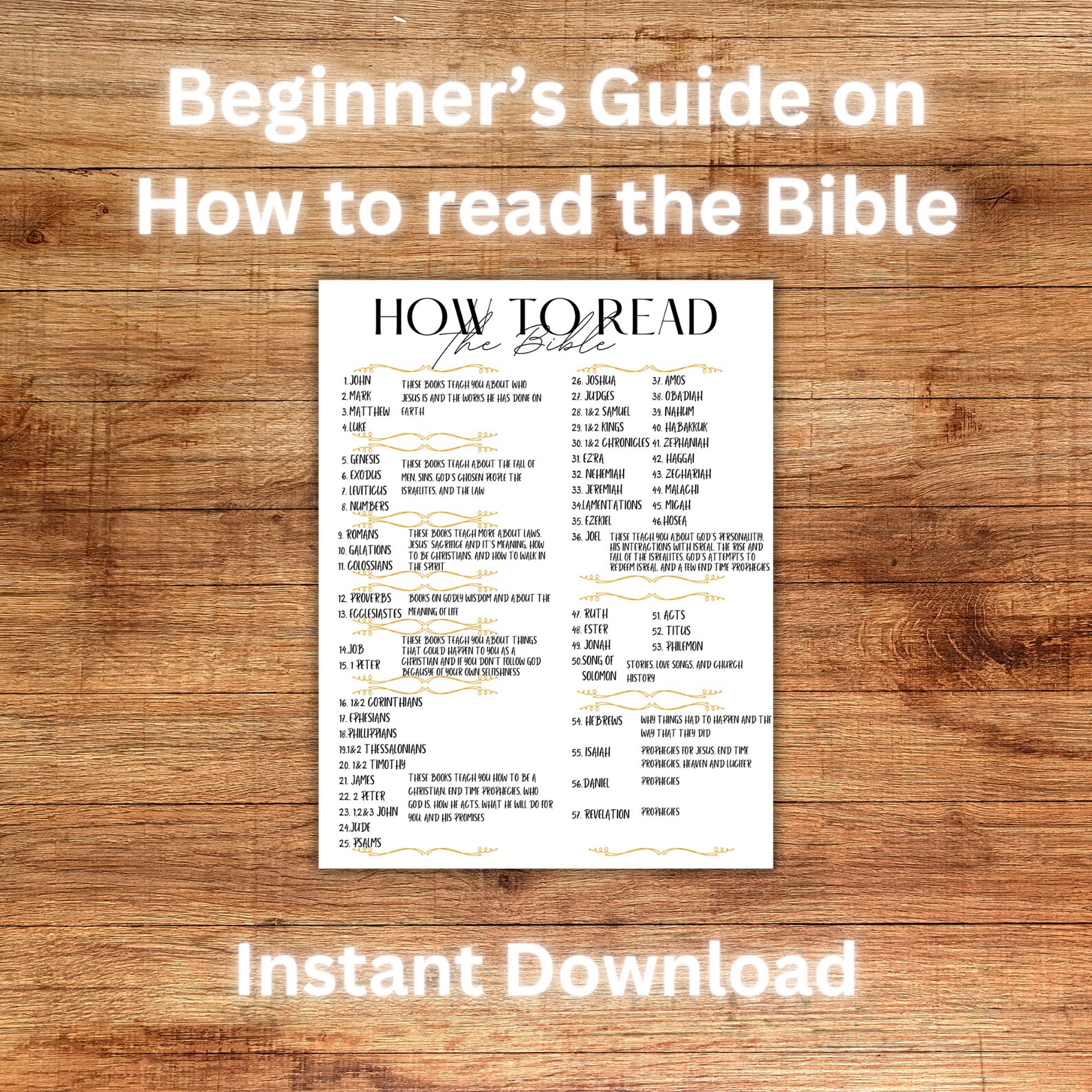 Bible Study, Books of the Bible, Digital Download, Beginner's Guide for ...