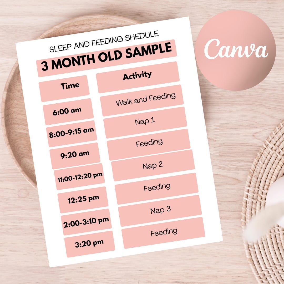 Baby Sleep Schedule Chart: Printable Newborn Nap Log (PDF Download - Etsy