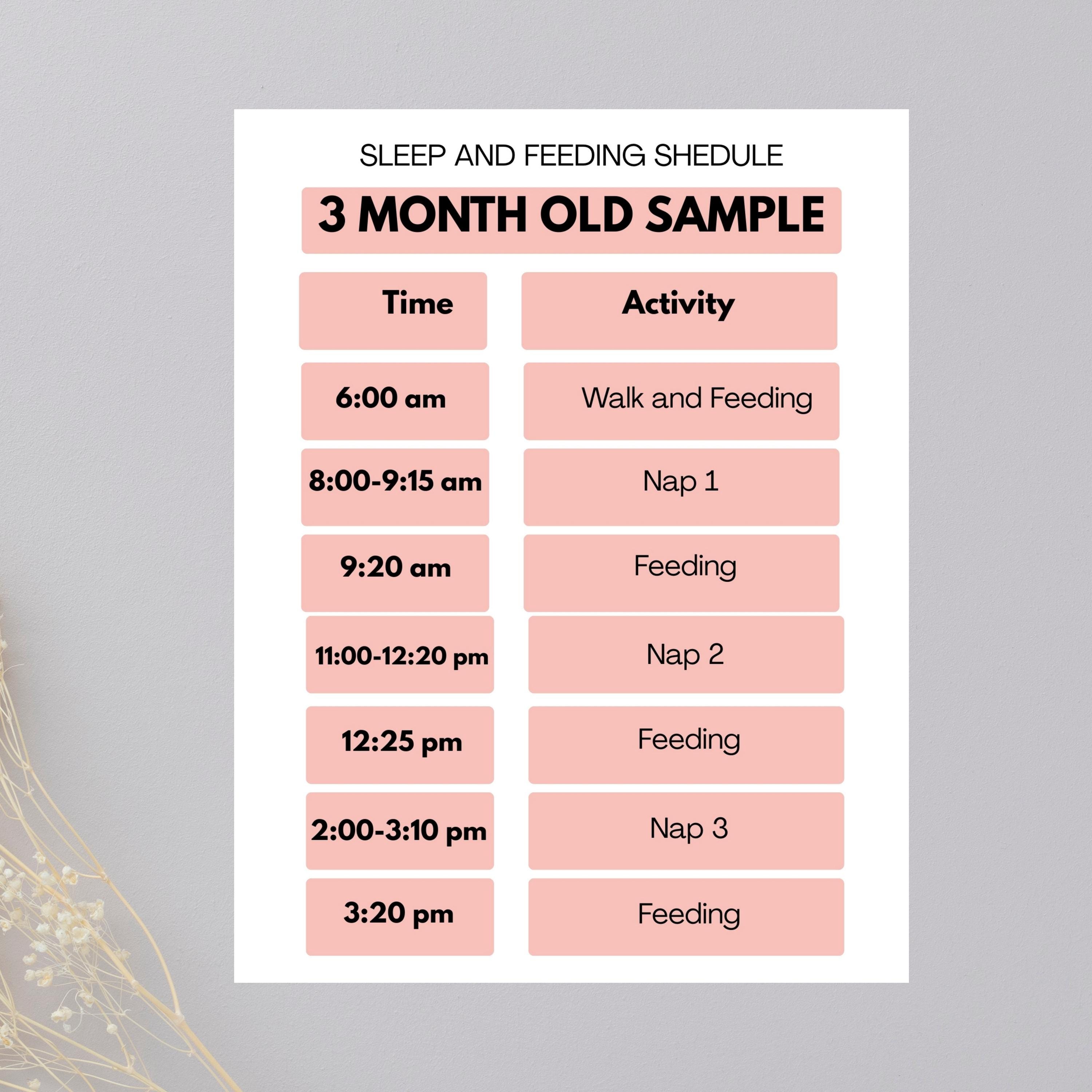 Baby Sleep Schedule Chart: Printable Newborn Nap Log (PDF Download - Etsy