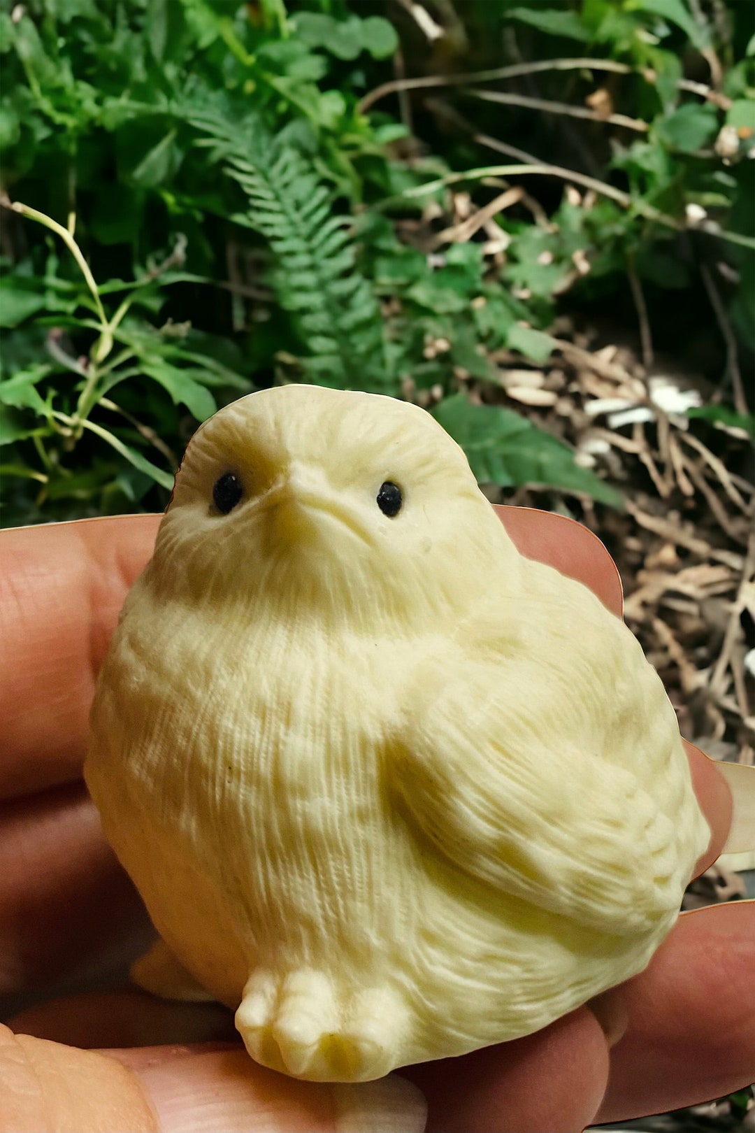 Ivory’s Fruit Carving, Seed of Palm Tree, Men, Women,teens, Great Gifts ...