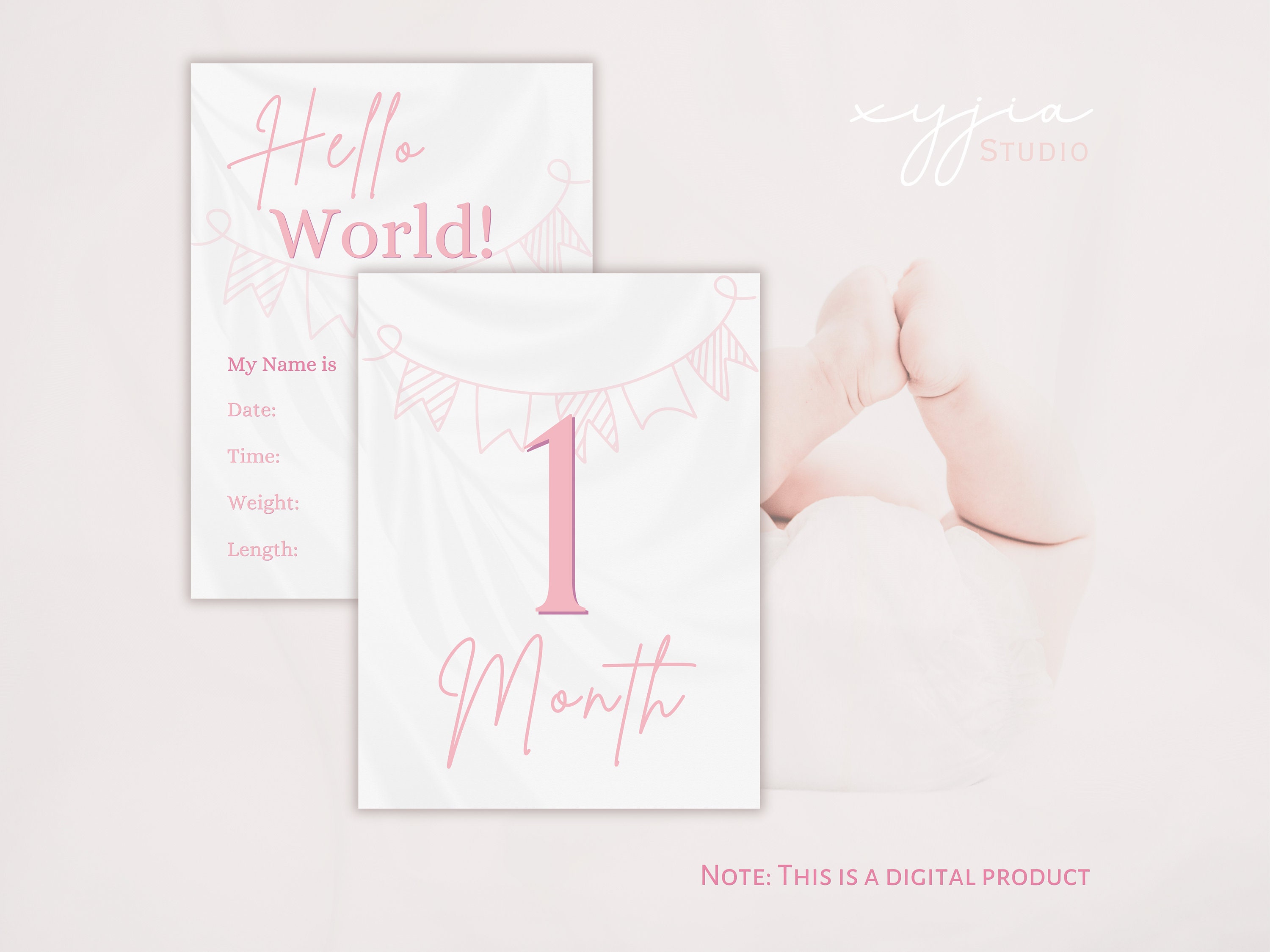 Printable Pink Baby Girl Baby Shower Monthly Milestone & Baby First ...