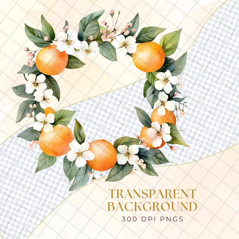 Watercolor Orange Clipart Pack, Botanical Citrus PNG, Orange Blossom ...