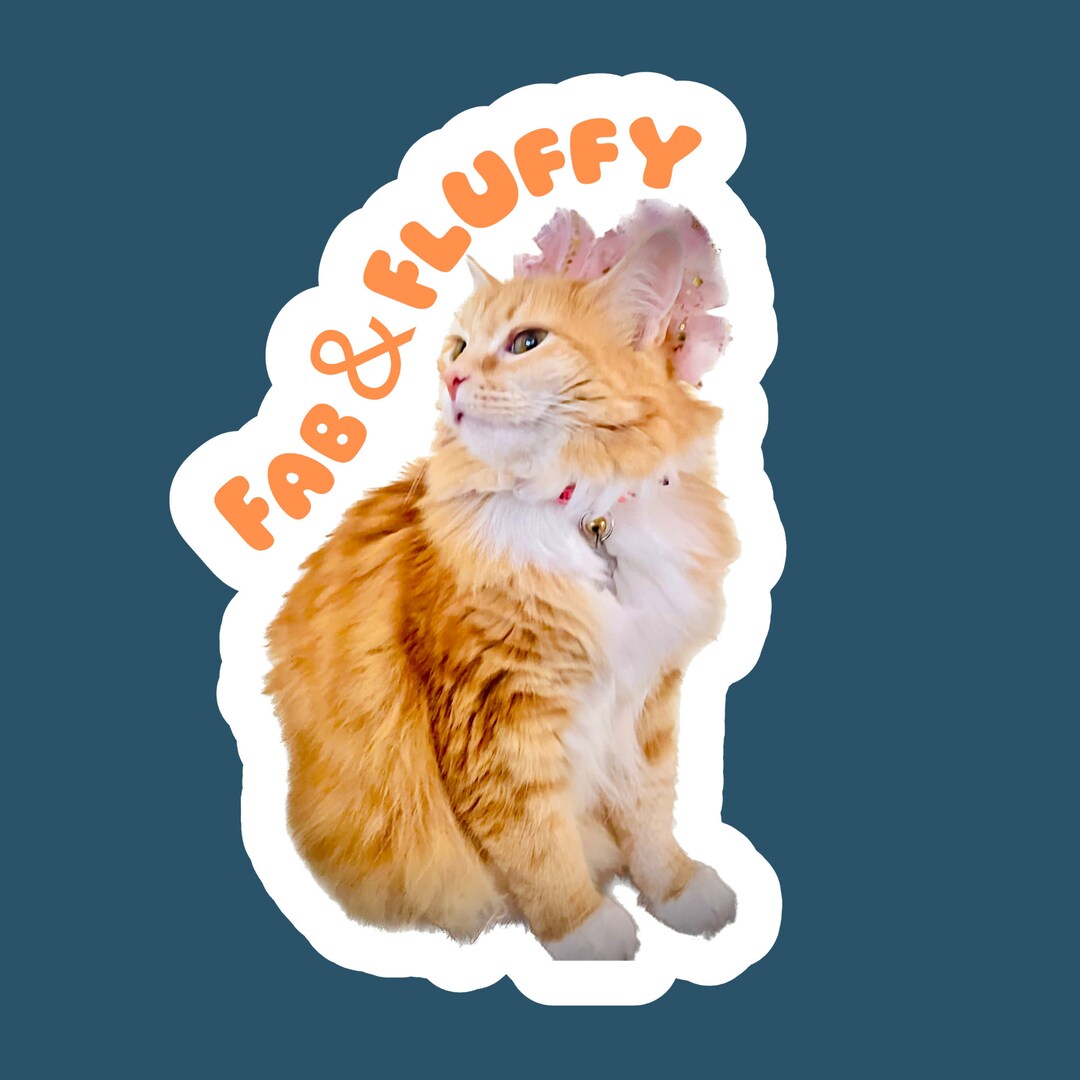Fluffy Cat Sticker for Laptop, Water Bottle, Phone - Fab & Fluffy ...