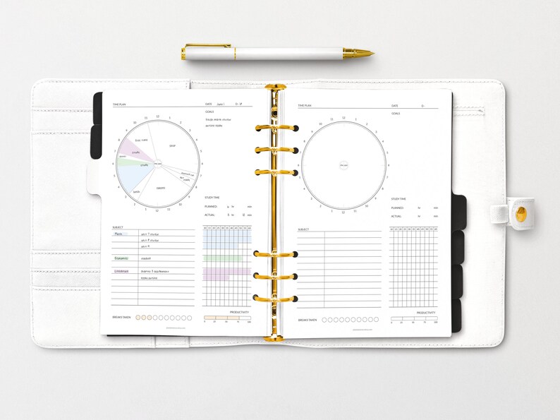 24 Hour Circular Study Planner, Pie Chart Daily Hourly Schedule, ADHD ...