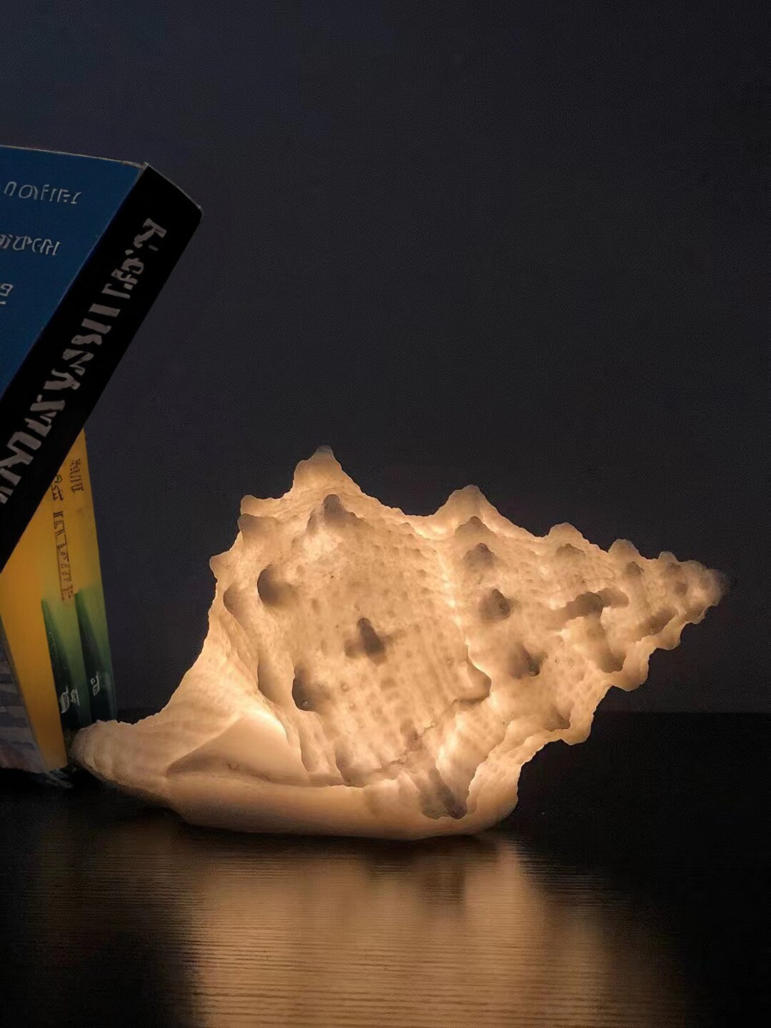Conch Shell Lamp,beach Decor Night Light, Bathroom Lamp, Scallop Shells ...