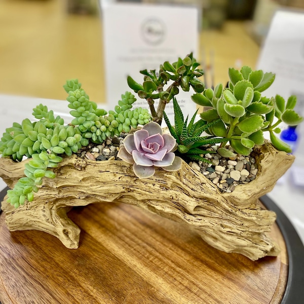 GorgeousGiftsOhio - Etsy