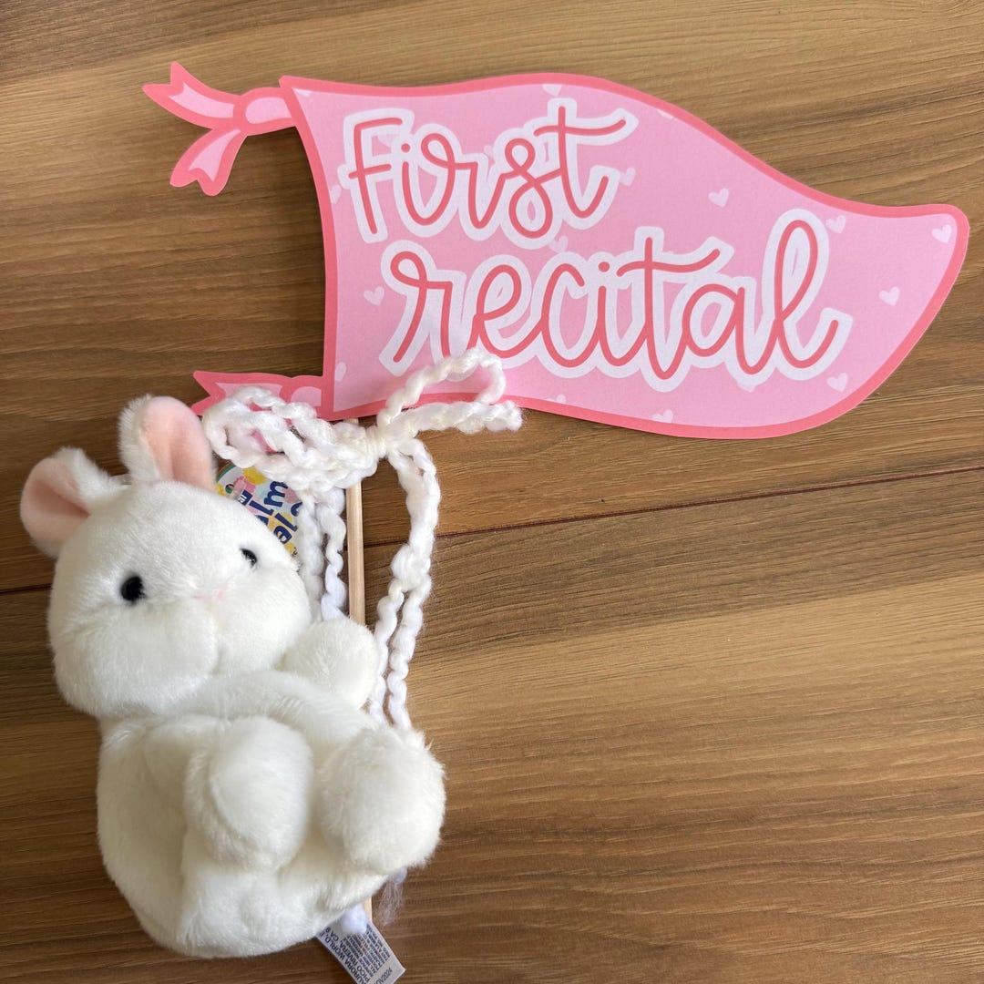 First Dance Recital Pennant, First Recital Sign, Dance Photo Prop ...