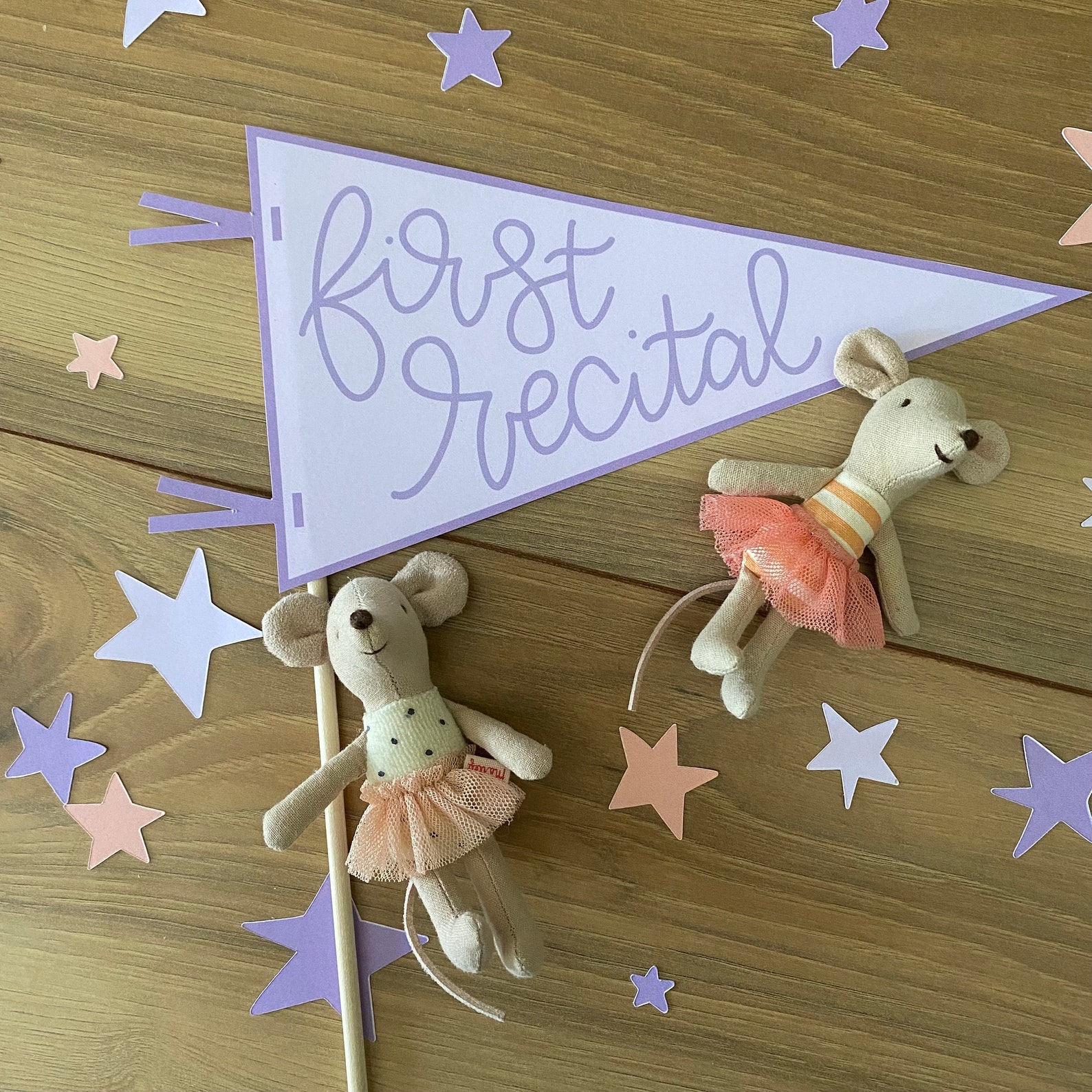 First Dance Recital Pennant, Tiny Dancer Flag, Dance Sign, Dancer Gift ...