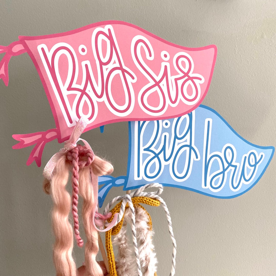 Big Sister, Big Brother, Little Sister & Little Brother Pennant ...