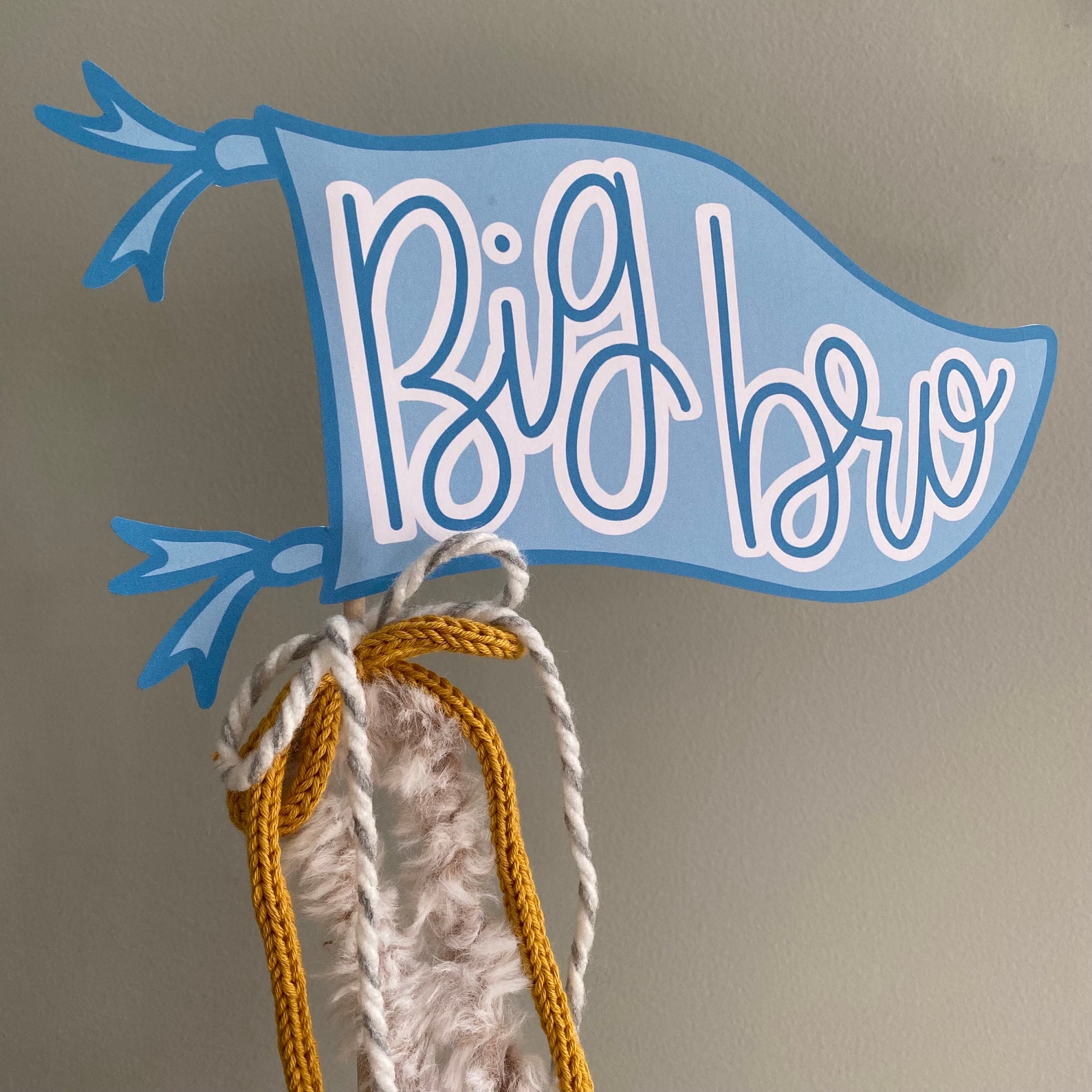 Big Sister, Big Brother, Little Sister & Little Brother Pennant ...