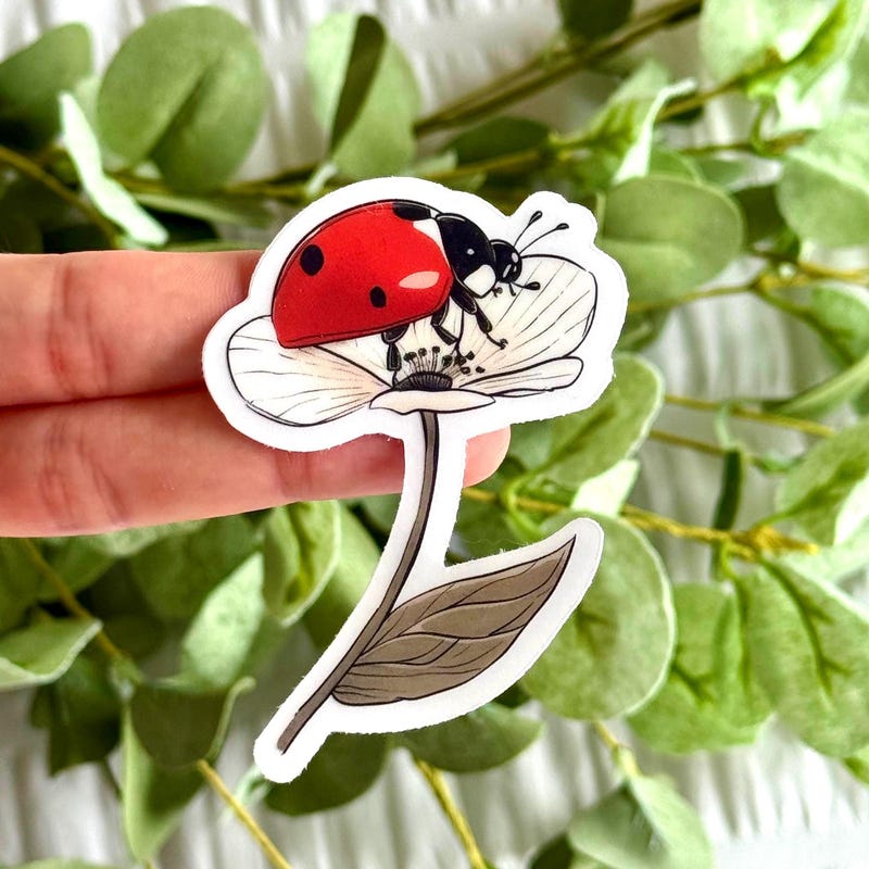 Ladybug Decal - Etsy