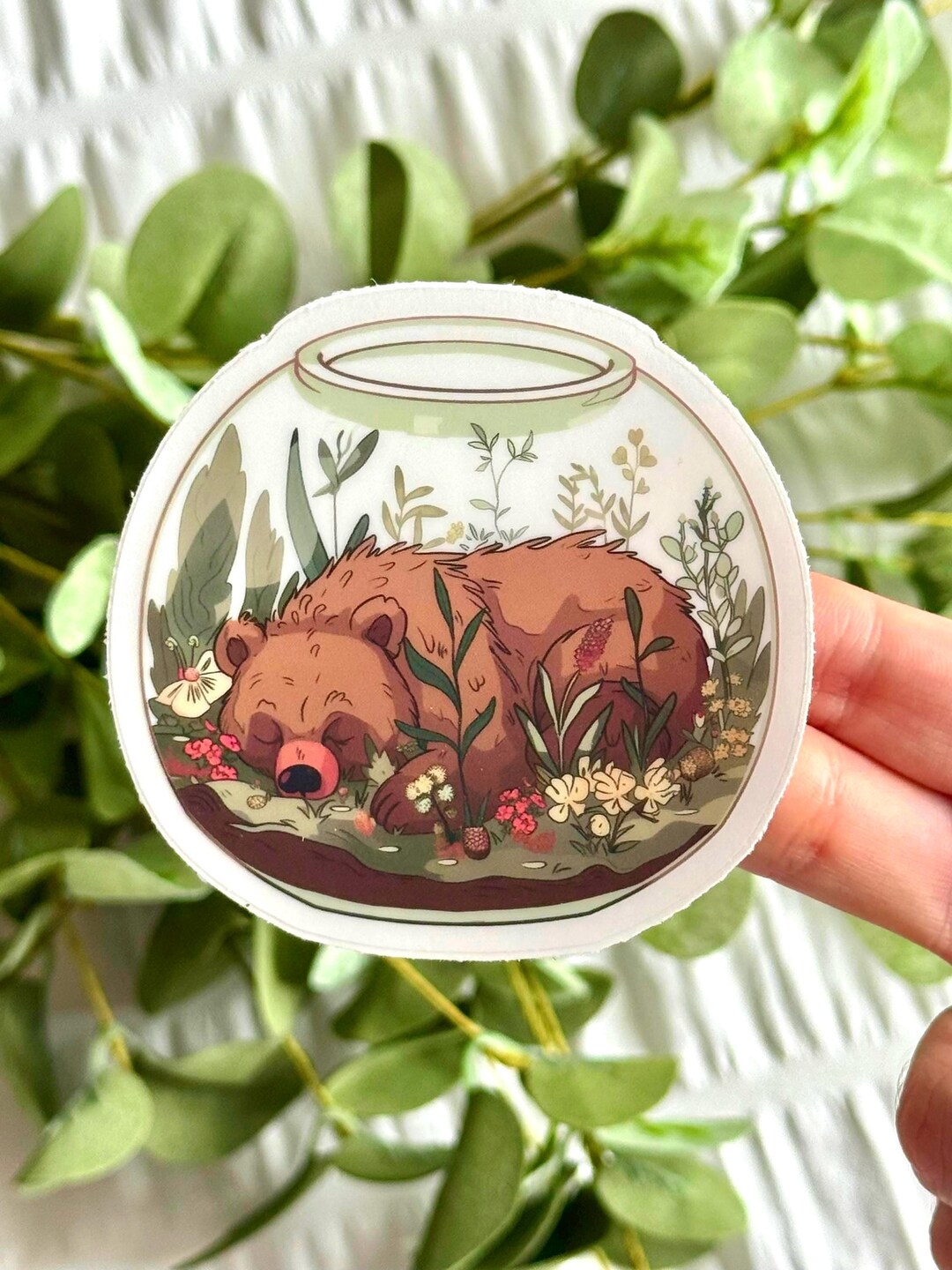 Bear Hibernating in Fishbowl Clear Vinyl Sticker 3.0 X 2.9 In. - Etsy