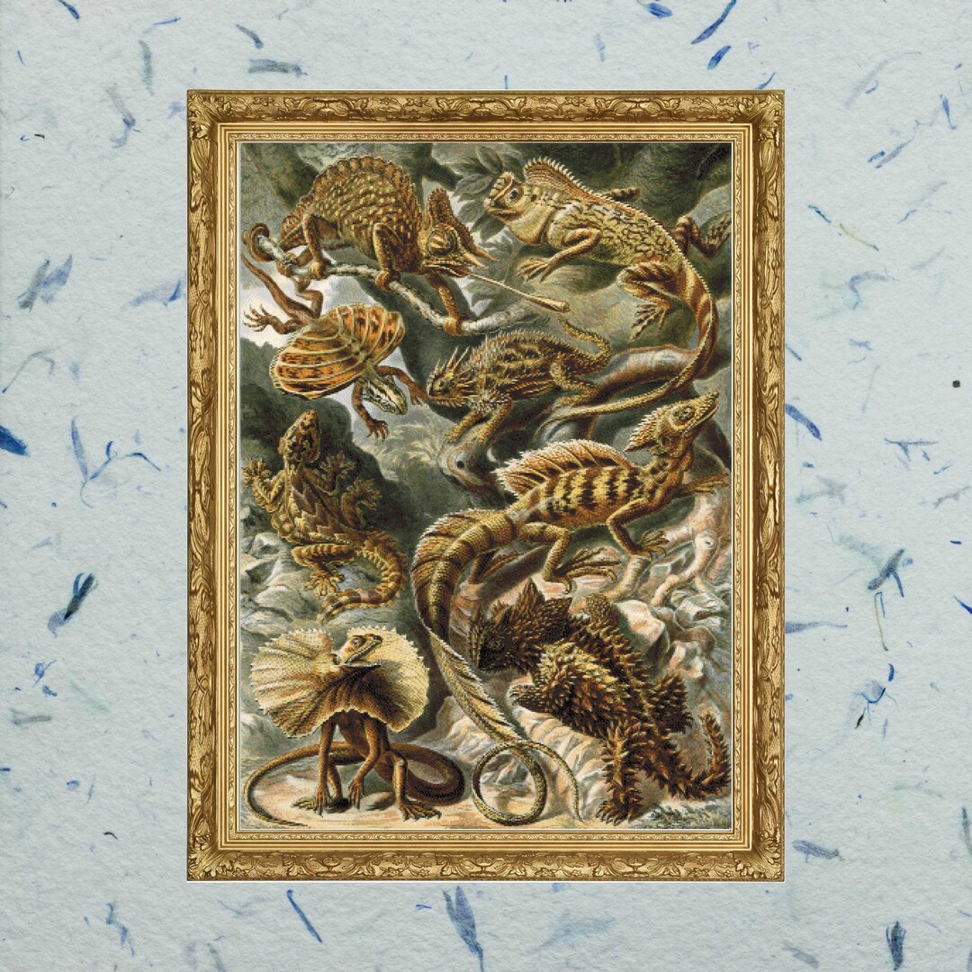 Lizards Cross Stitch Chart: Ernst Haeckel Art (digital Download) - Etsy