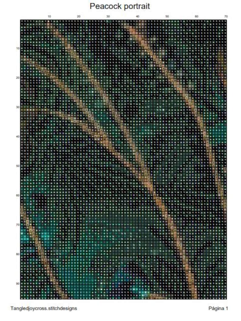 Peacock Portrait Cross Stitch Chart: Full Coverage (PDF Pattern) - Etsy