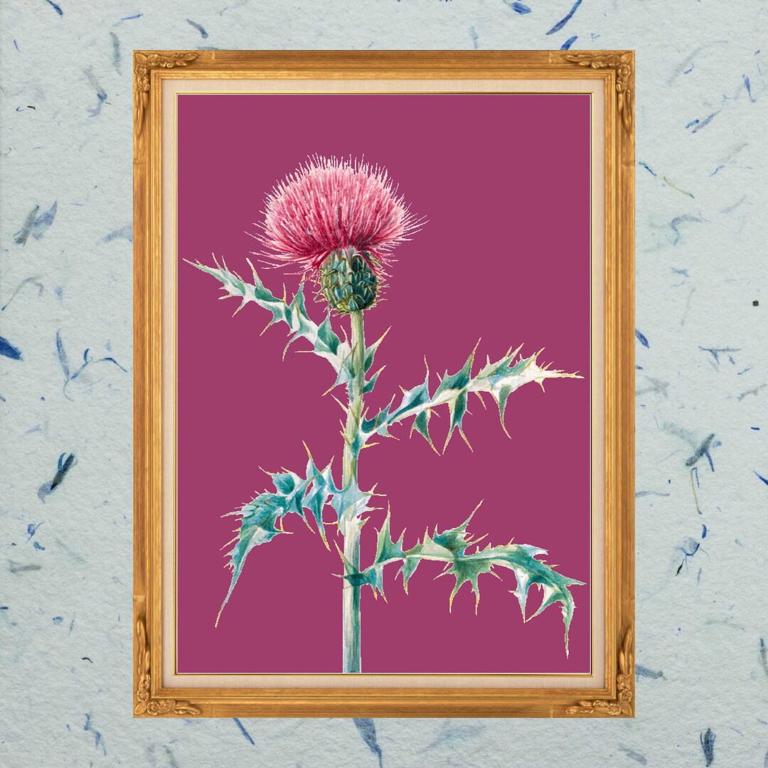 Thistle, This is a Cross Stitch Chart No Background, That is Compatible ...