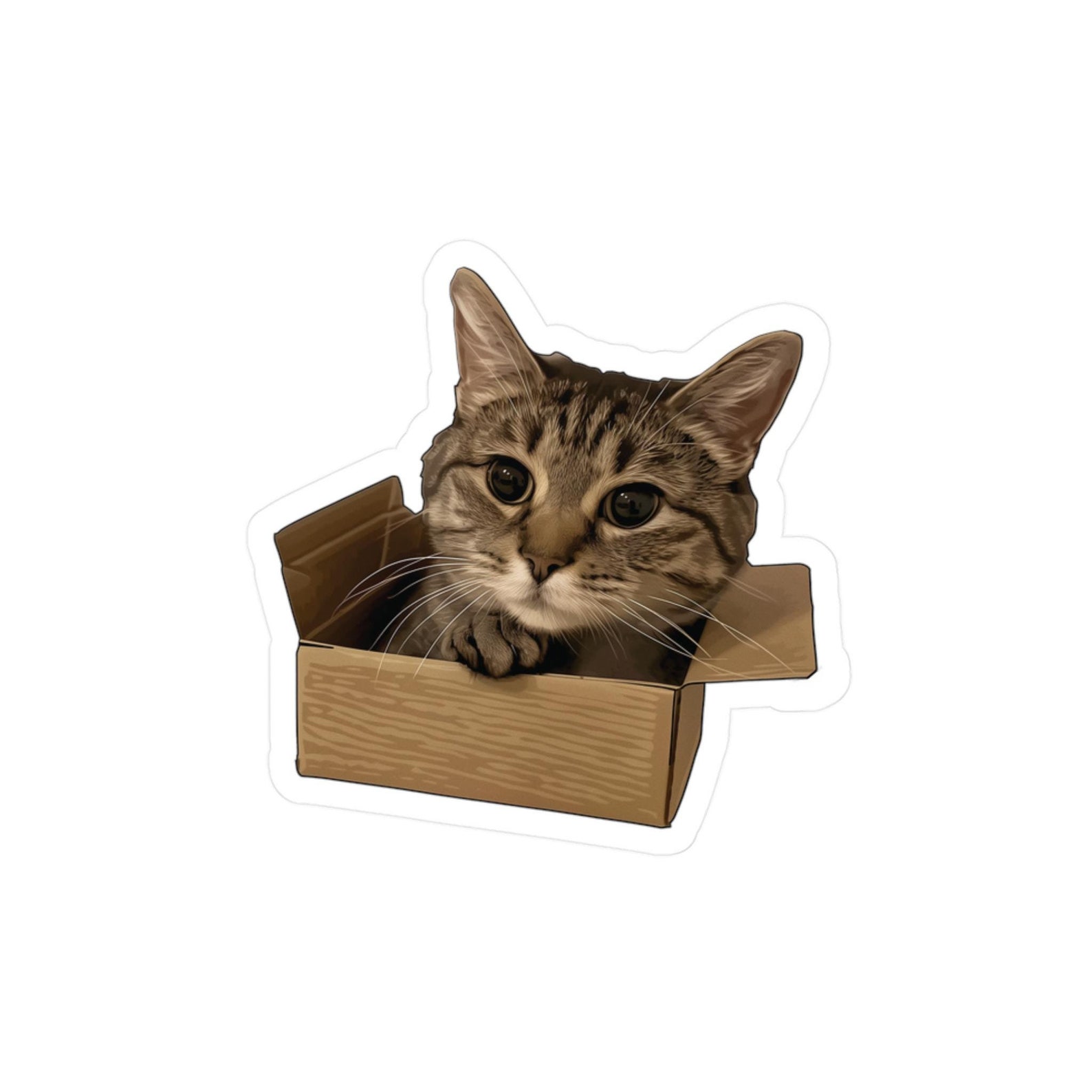 Cat in a Box Sticker - Adorable Feline Vinyl Sticker, Perfect for ...