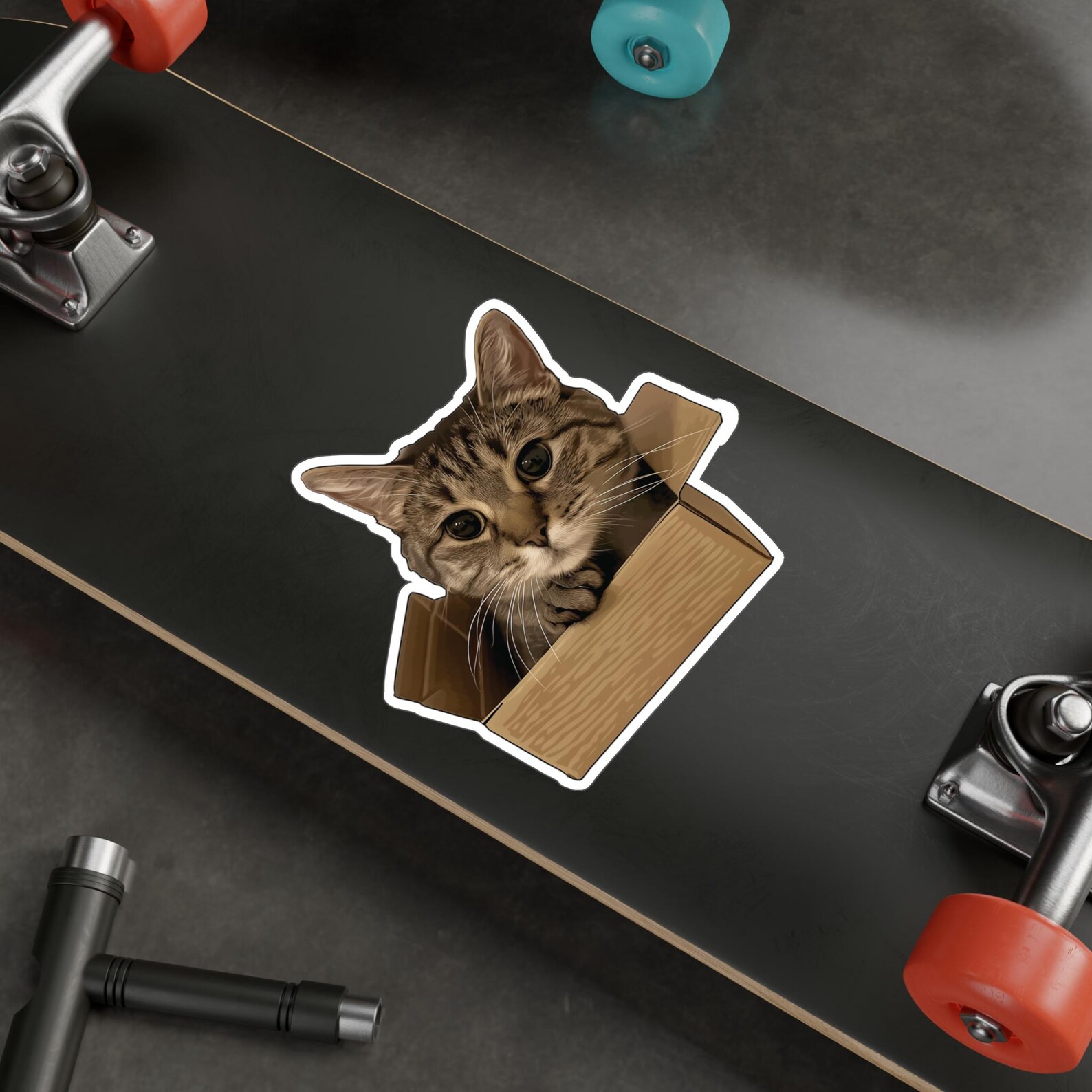 Cat in Box Sticker – Playful Feline Vinyl Decal - Etsy